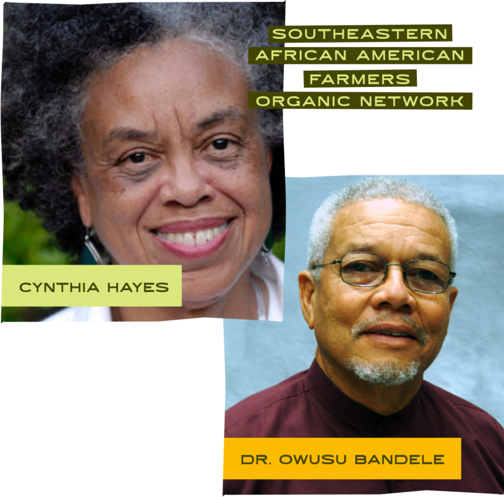 Our History - SAAFON