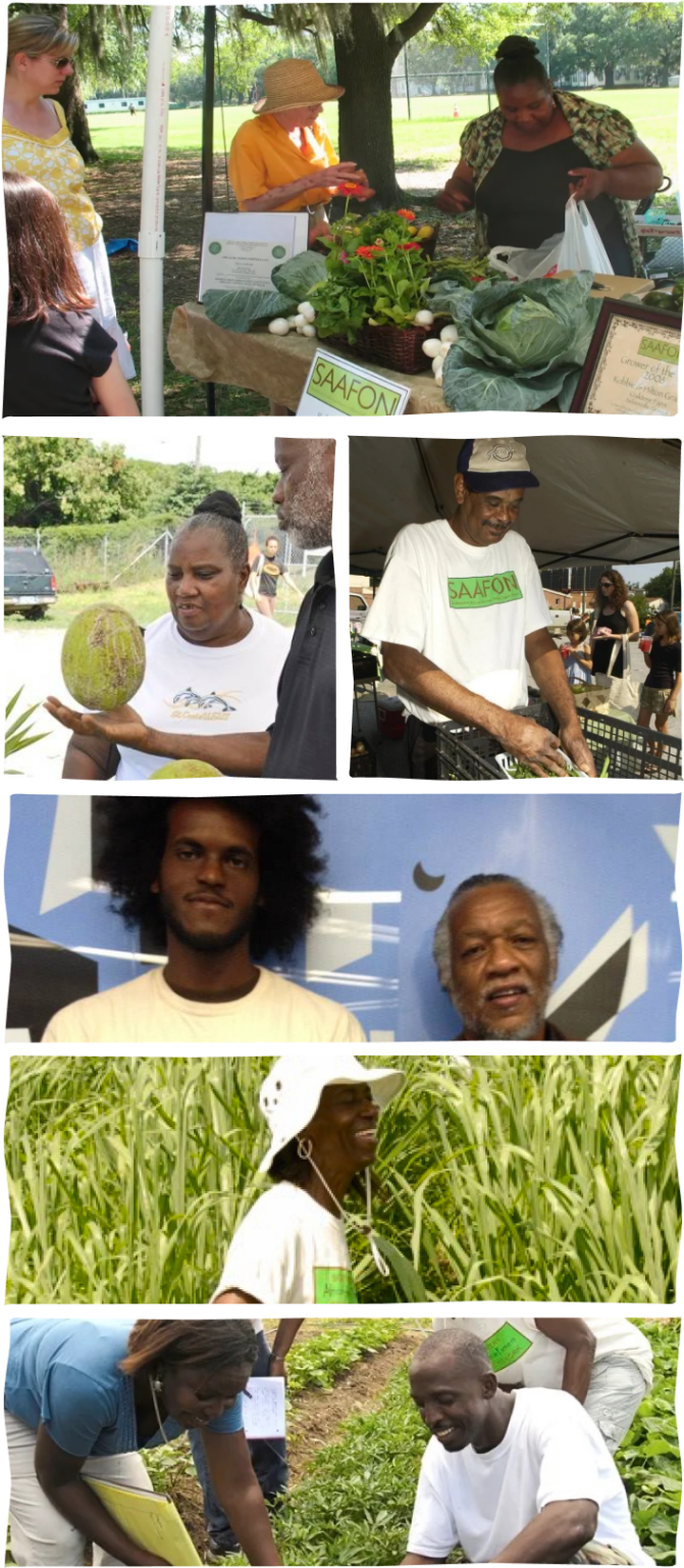 Our History - SAAFON