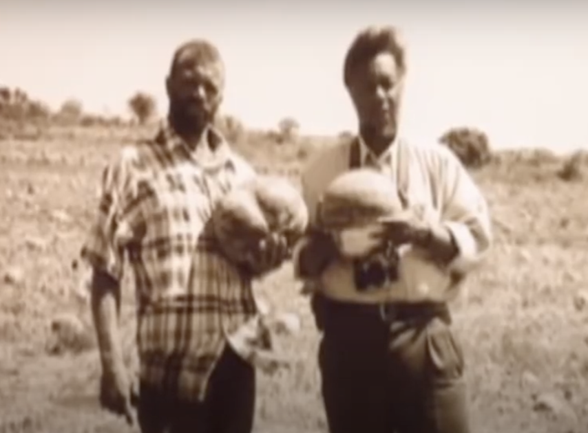 Holding Water: The Watermelon & the Black Agrarian Legacy - SAAFON